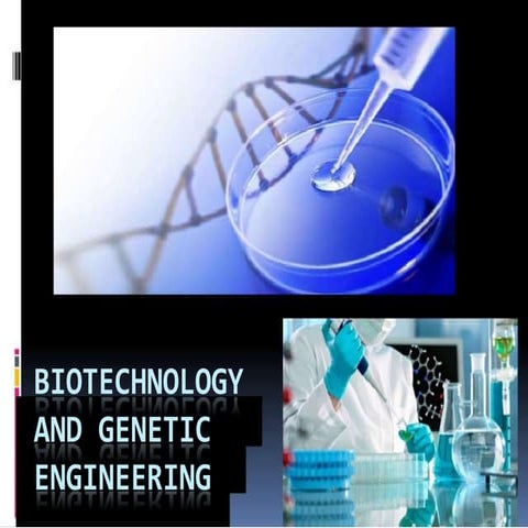 BIotechnology powerpoint presentation... | PPT