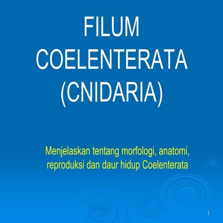 02-Coelenterata-Coelenterata-Coelenterata.ppt