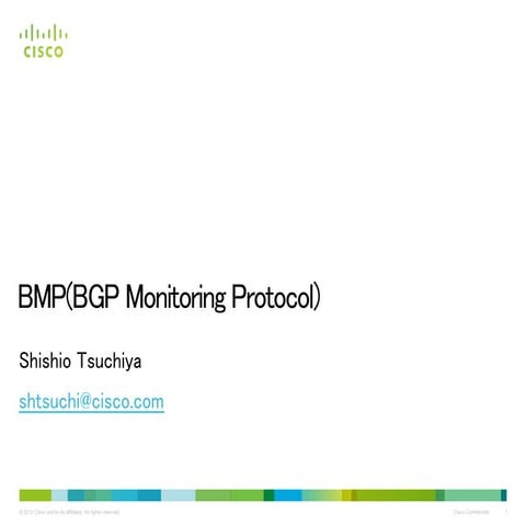 BMP(BGP Monitoring Protocol) | PPT