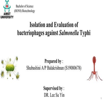 Isolation And Evaluation Of Bacteriophages Against Salmonella Typhi Ppt