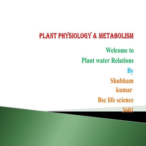 Plant physiology and metabolism ppt.pptx