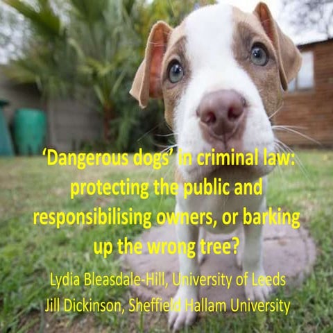'Dangerous Dogs' in Criminal Law: protecting the public ...