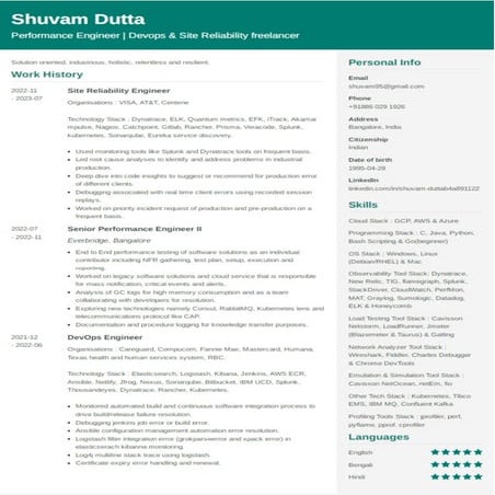 Professional Resume | PDF