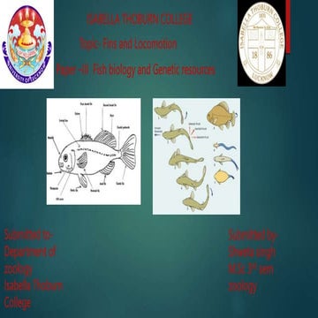 Shweta singh Z-22-18 fins and Locomotion.pptx
