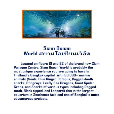 Siam ocean world Waree | DOCX