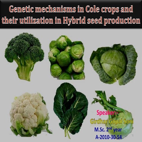 self incompatibility and male sterility | PPTX