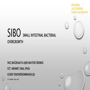 Sibo (İnce Bağırsak Aşırı Bakteri üremesi) | PPTX
