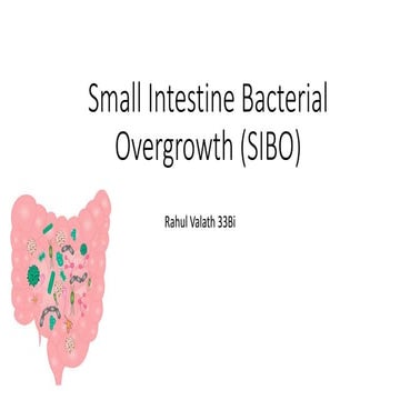 Small Intestine Bacterial Overgrowth (SIBO) | PPTX