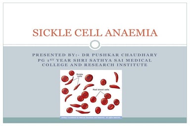 Sickle Cells Slide