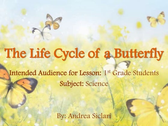 Butterfly Life Cycle | PPTX