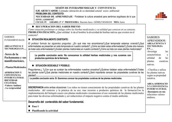 ACTIVIDAD DE APRENDIZAJE PLANTAS MEDICINALES - NORMA MONTES | PDF