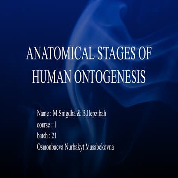 Anatomy stages of human ontogenesis presentation | PPT
