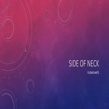 Side of neck | PPT