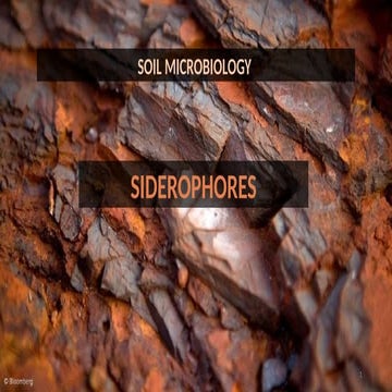 SIDEROPHORES-1.pptx iron chelating agents | PPTX