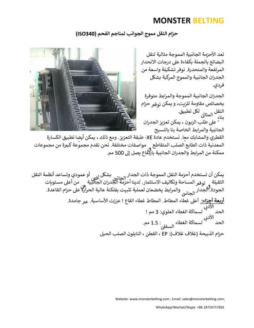 Conveyor Belt Catalog -Monster Belting Industry Co.,ltd | PDF
