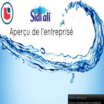 Sidi ali | PDF | Business | Business and Finance