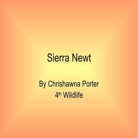 Sierra newt | PPT