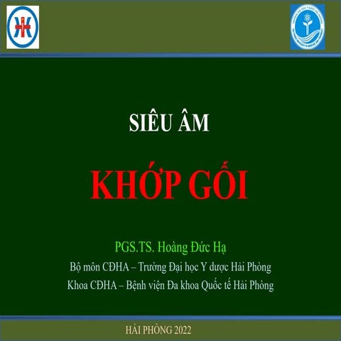 Sieu am Khop Goi _ Hoang Duc Ha.pdf