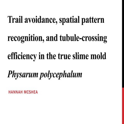 Navigation and Pathfinding in a True Slime Mold Slide Show | PPTX