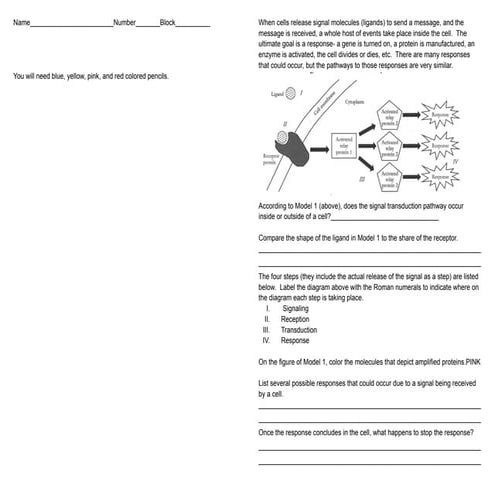 Signaling Practice-Transduction.pdf
