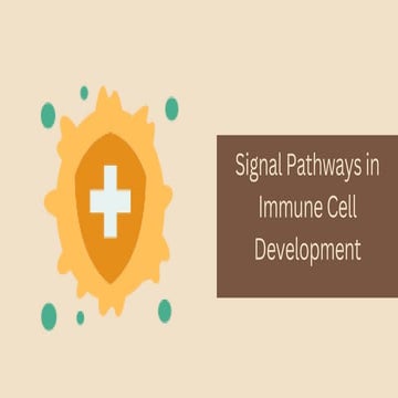 Signal Pathways in Immune Cell Development.pptx