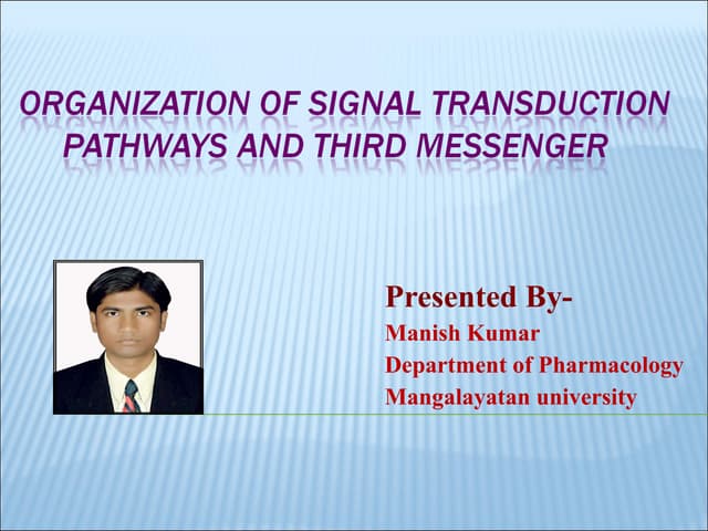 Signal transduction process | PPT