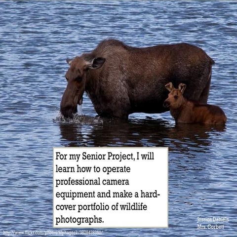 Sign of commitment slide by jess daniels | PPT