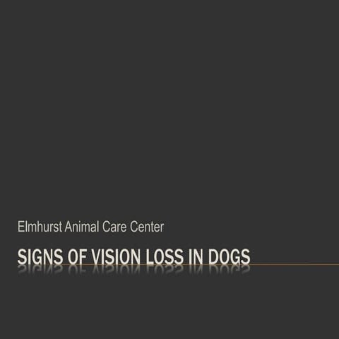Signs of Vision Loss in Dogs | PPT