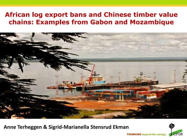 African log export bans and Chinese timber value chains: Examples from ...