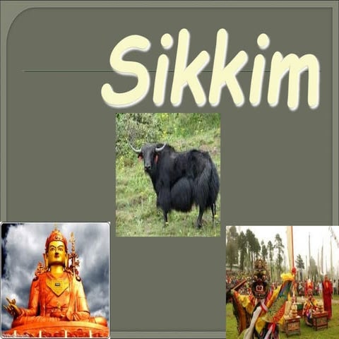 Sikkim Project File (presentation) | PPTX