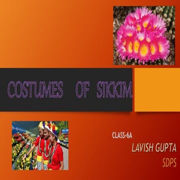 Sikkim Project File (presentation) | PPTX