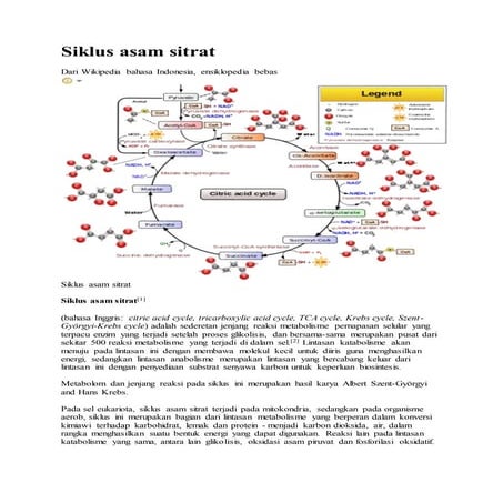 Siklus asam sitrat | DOCX