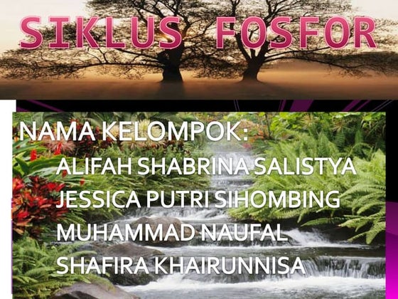 Siklus Fosfor - Phosphorus Cycle | PDF