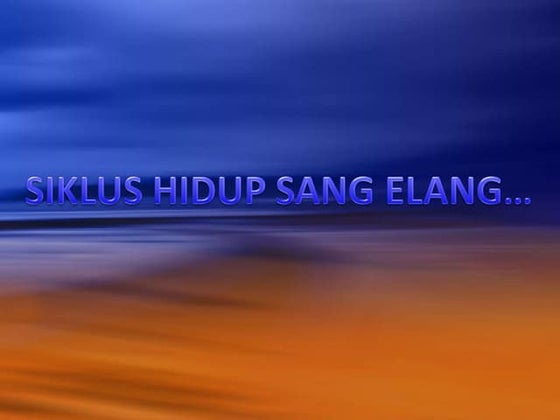 Siklus sang elang | PPT