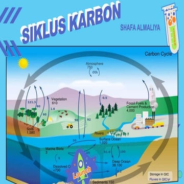 Siklus Karbon Siklus Karbon | PDF | Sains & Matematika