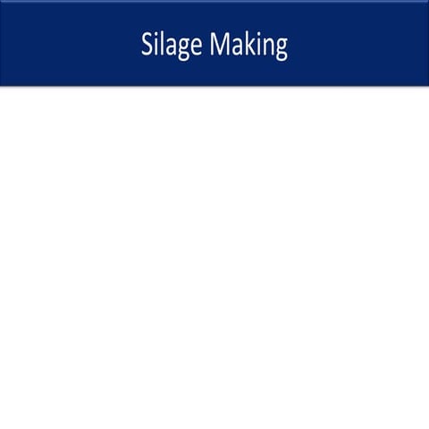 Silage making | PDF