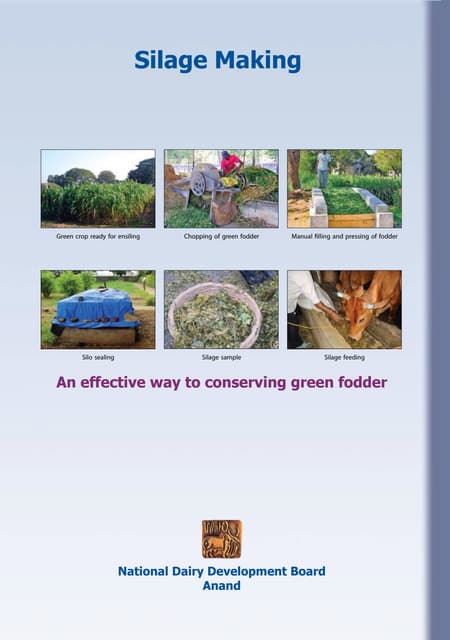 Silage | PPT