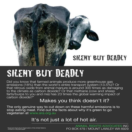 Silent But Deadly Card | PDF