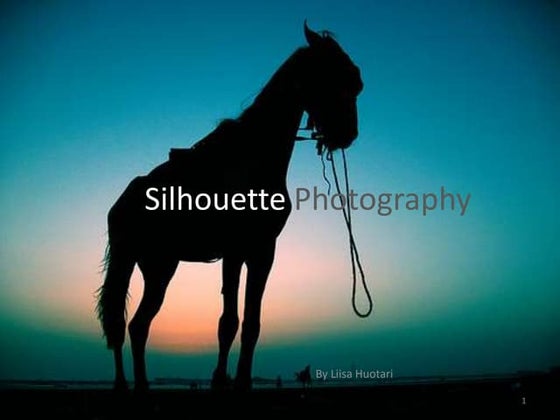 Captivating Examples Of Silhouette Photography | PPT