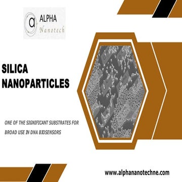 Silica Nanoparticles.pptx