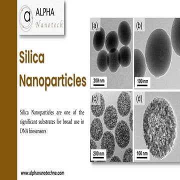 Silica Nanoparticles.pptx