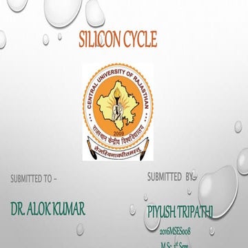 Silicon cycle ppt | PPTX
