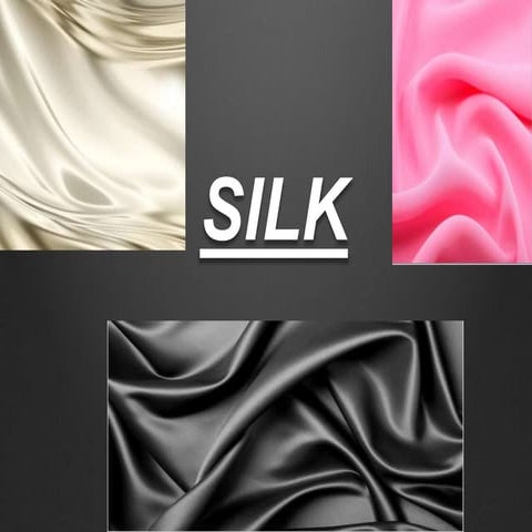 Silk | PPT
