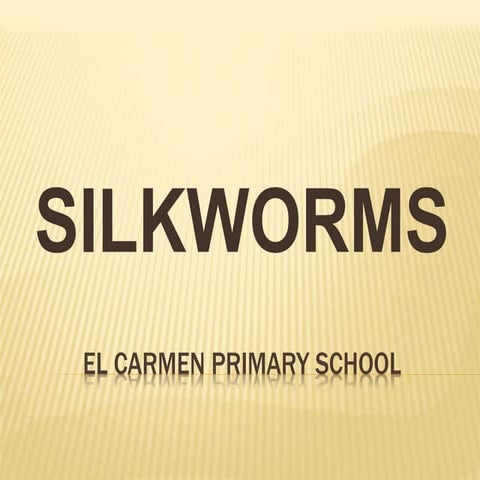 SILKWORMS | PPT