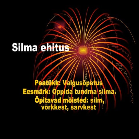 Silma Ehitus | PPT