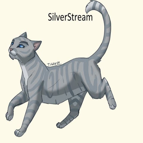 Silver stream | PPT