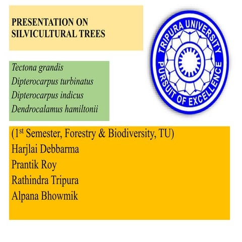 Important Silvics of Teak, Garjan, D. Indicus, D. Hamiltoni.pptx