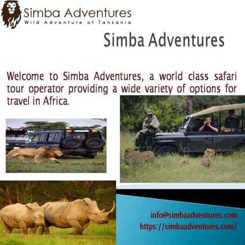 Simba adventures | PPT