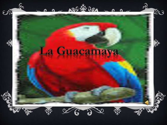 Simbolos menores de Honduras