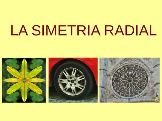 Simetria radial | ODP | Physics | Science